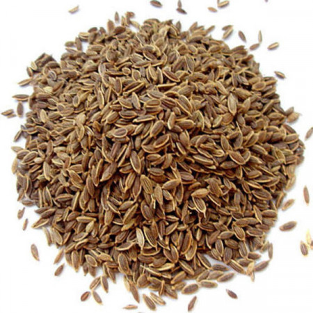 Shatapushpa